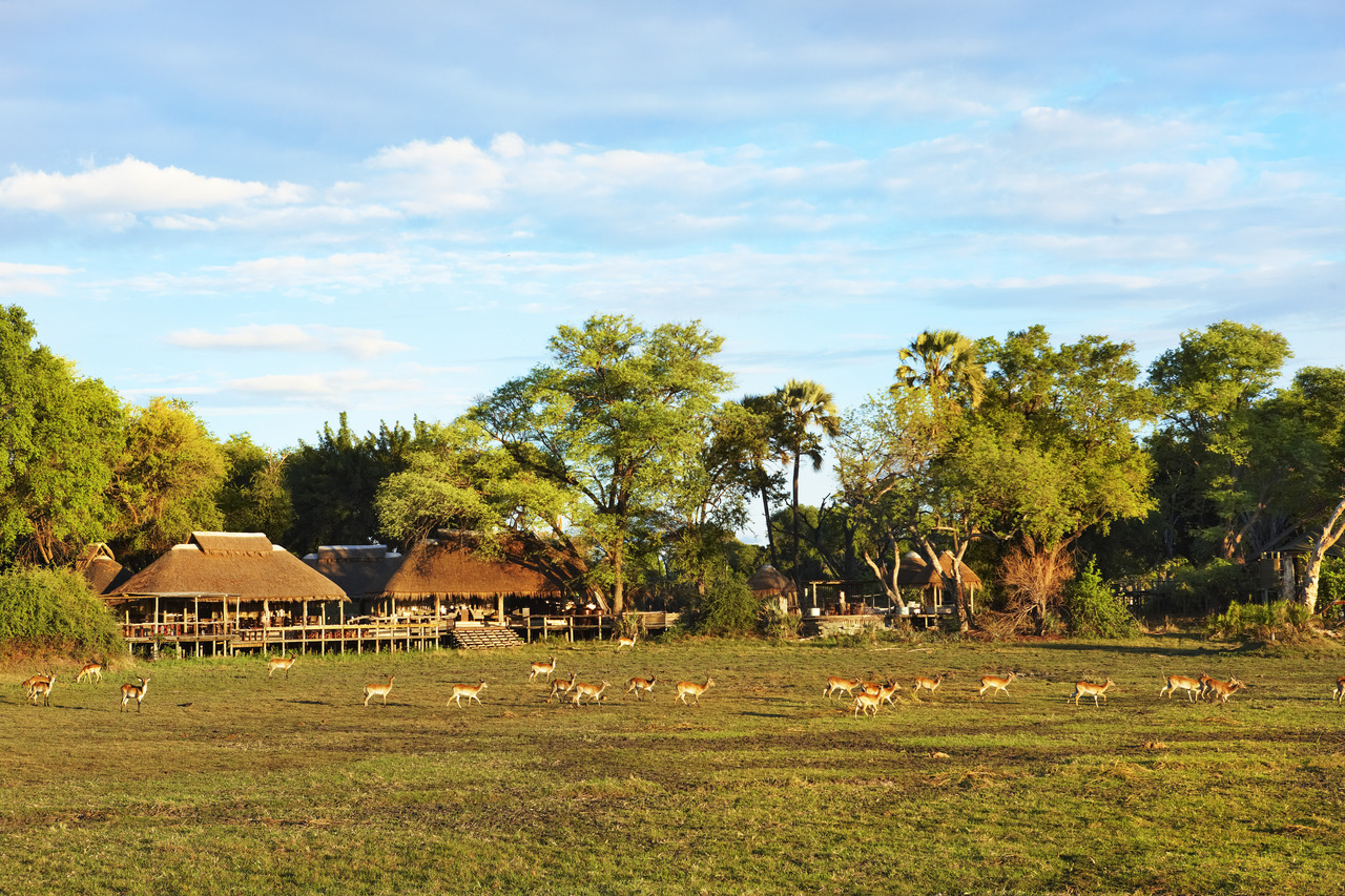 Maßgeschneiderte Luxus Safari Botswana I nova reisen